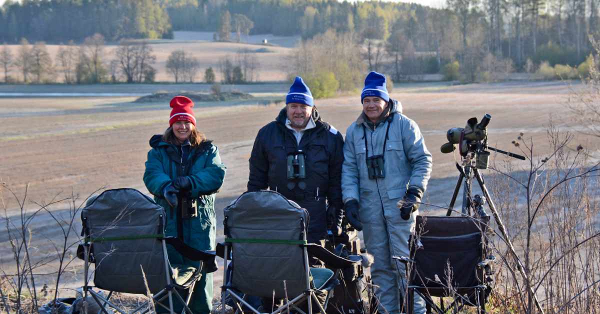 Kumpi kuulee linnunlaulun paremmin – tekoäly vai ihminen? Tätä ...