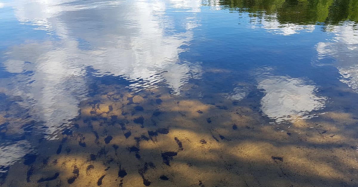 Kutilan kanavakyselyn tulokset: hyötyä vesiliikenteelle ja matkailulle ...