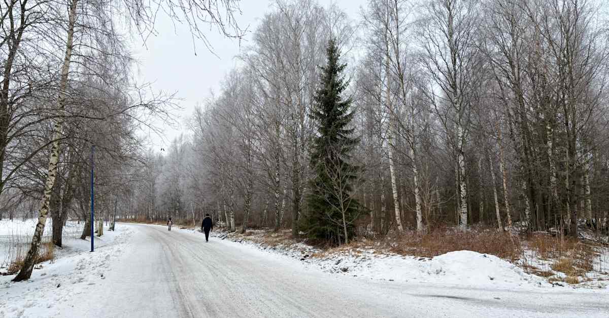 Vasa kyrkliga samfällighet vill inte ha en äventyrsskog intill ...