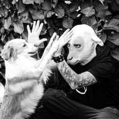 Marko Laiho | Yle.fi | Uutiset, urheilu, ilmiöt