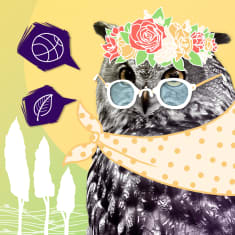 Testit | Yle.fi | Oppiminen