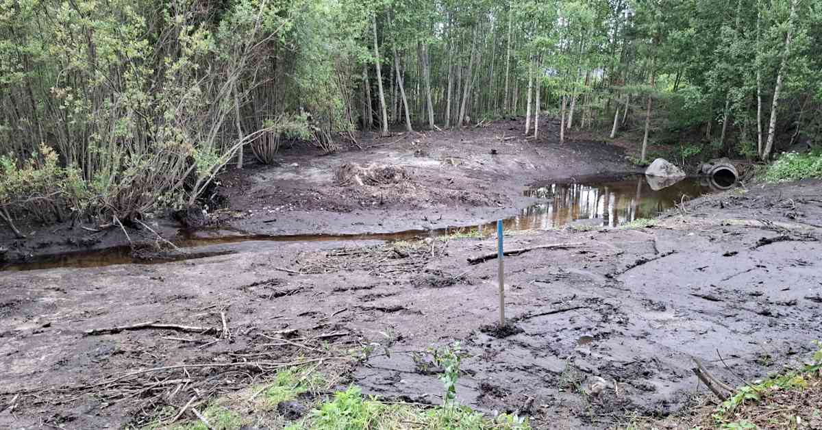 Majavat rakensivat liian tehokkaat padot Lappeenrannassa – nyt kaupunki ...