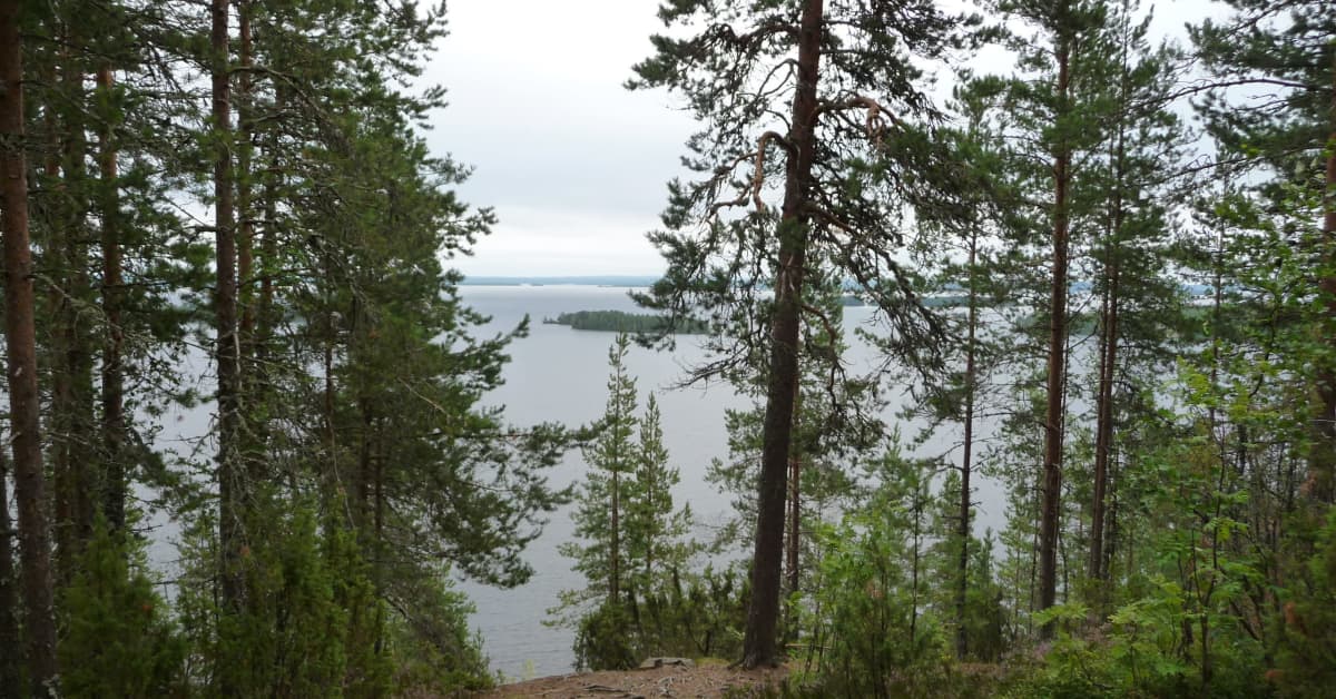Lomakeskus Huhmari hakee konkurssia | Pohjois-Karjala | Yle