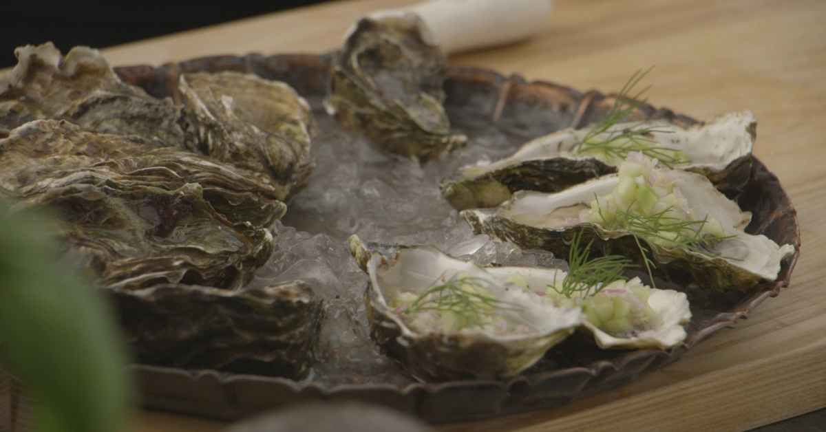 Ostron med vinägrett av gurka | Recept | Svenska Yle