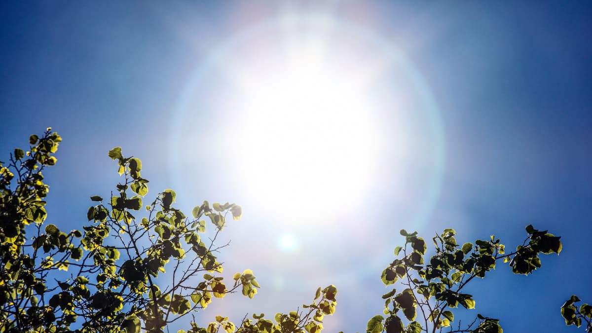 Summer 2021 was Finland's hottest in over 80 years | News | Yle Uutiset