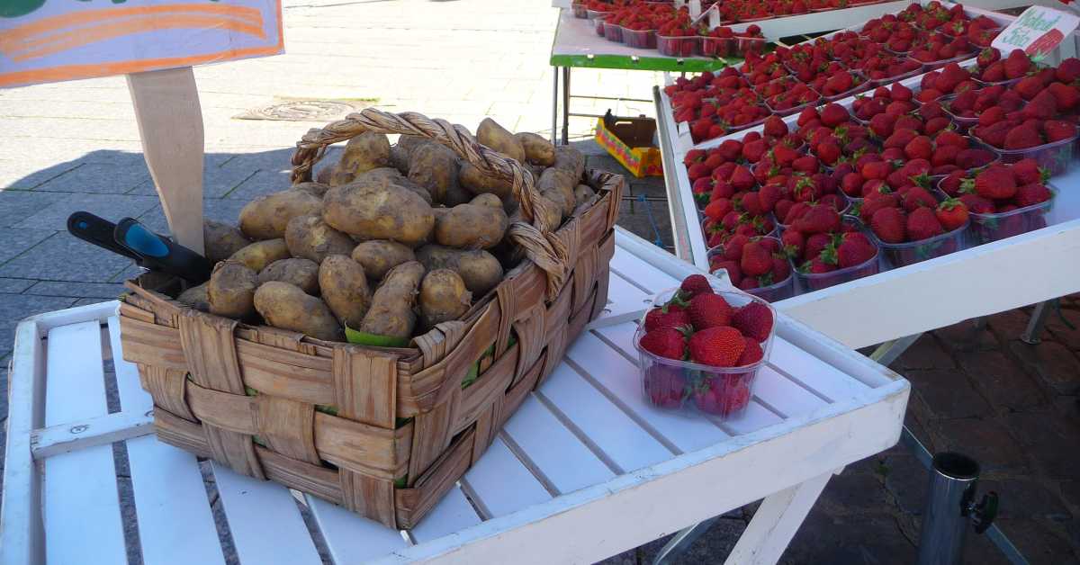 Nypotatis och jordgubbar midsommarens favoriter | Österbotten | Svenska Yle