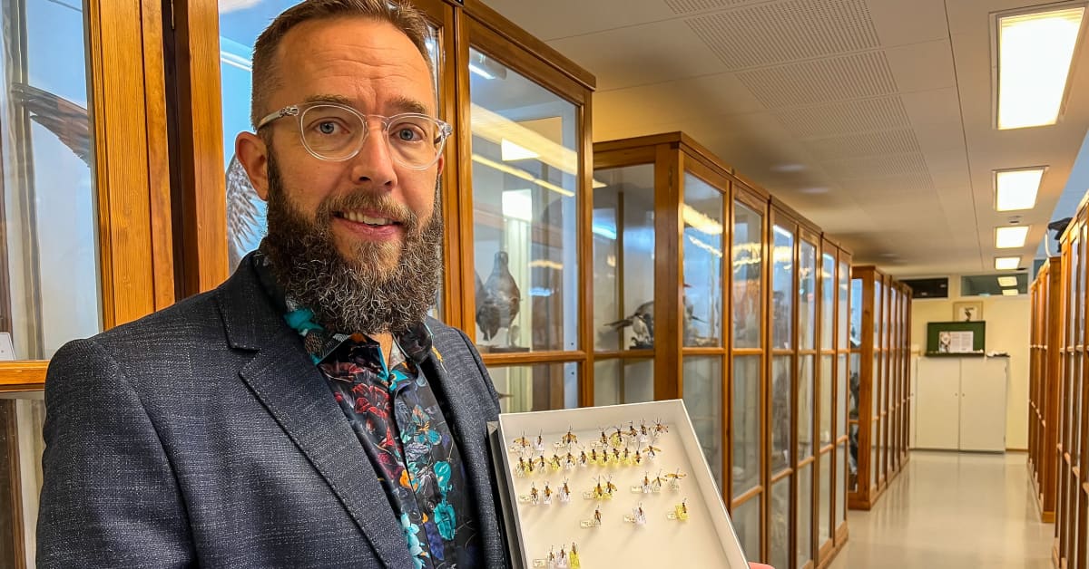 Amazonian pistiäisten tutkija Ilari Sääksjärvi: Mitä kauemmin odotamme ...