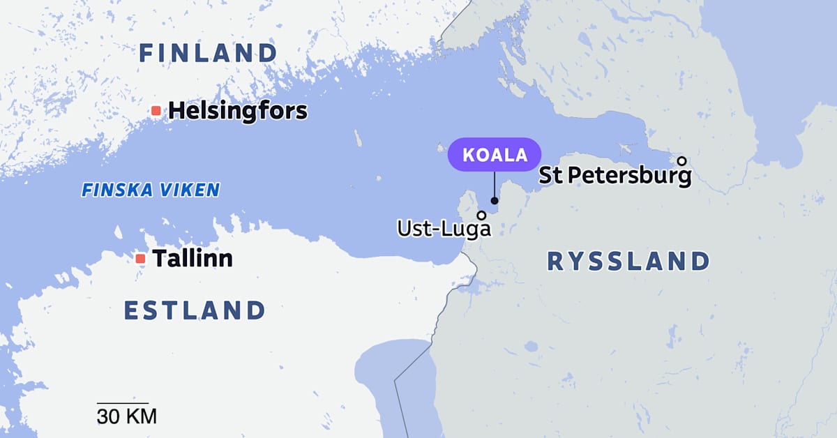 Det ryska oljeflödet via Ust-Luga tycks ha stoppats av ukrainsk attack ...