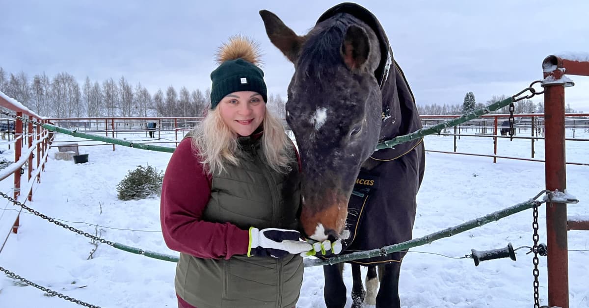 Pelosta pillastuvista hevosista ei muisteta puhua vuodenvaihteessa ...