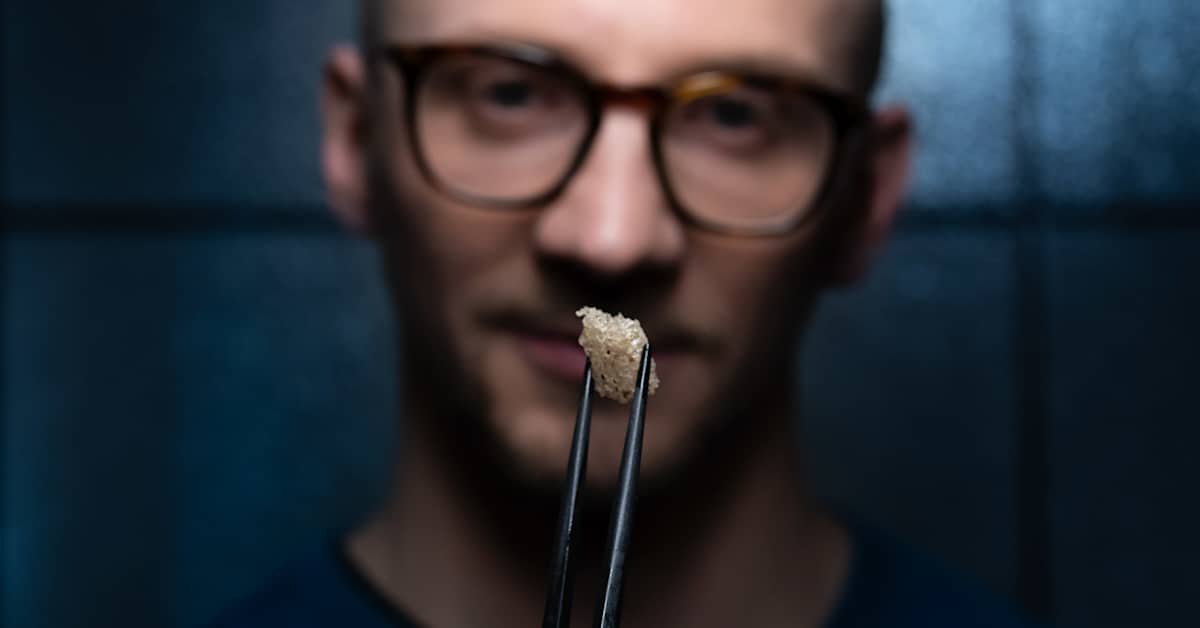 Lauri Reuter: Jos voisit syödä mitä tahansa eläintä, ketä söisit ...