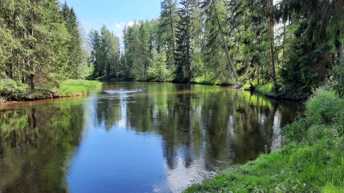 Uusien arvojokien etsintä alkaa Etelä-Karjalassa – toiveena on löytää ...