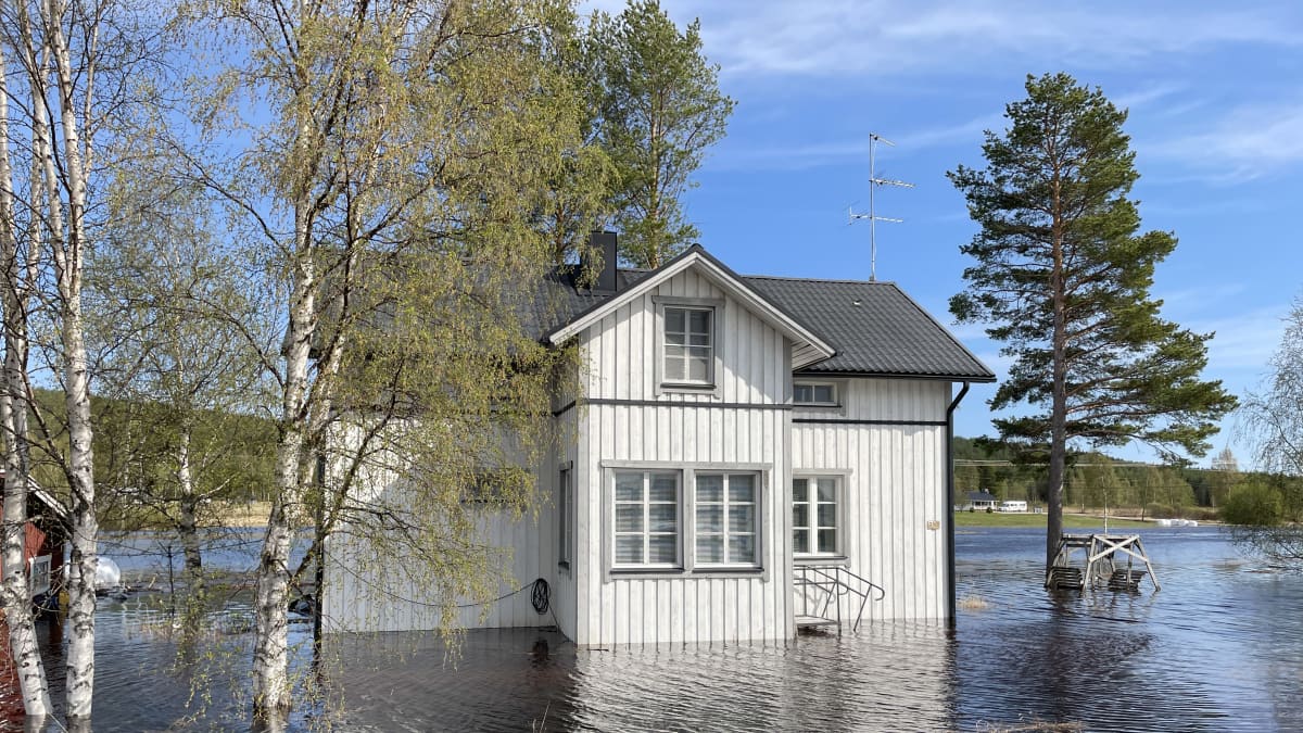 Suurtulva runteli remontoidun talon, mökit ja ulkorakennuksen ...