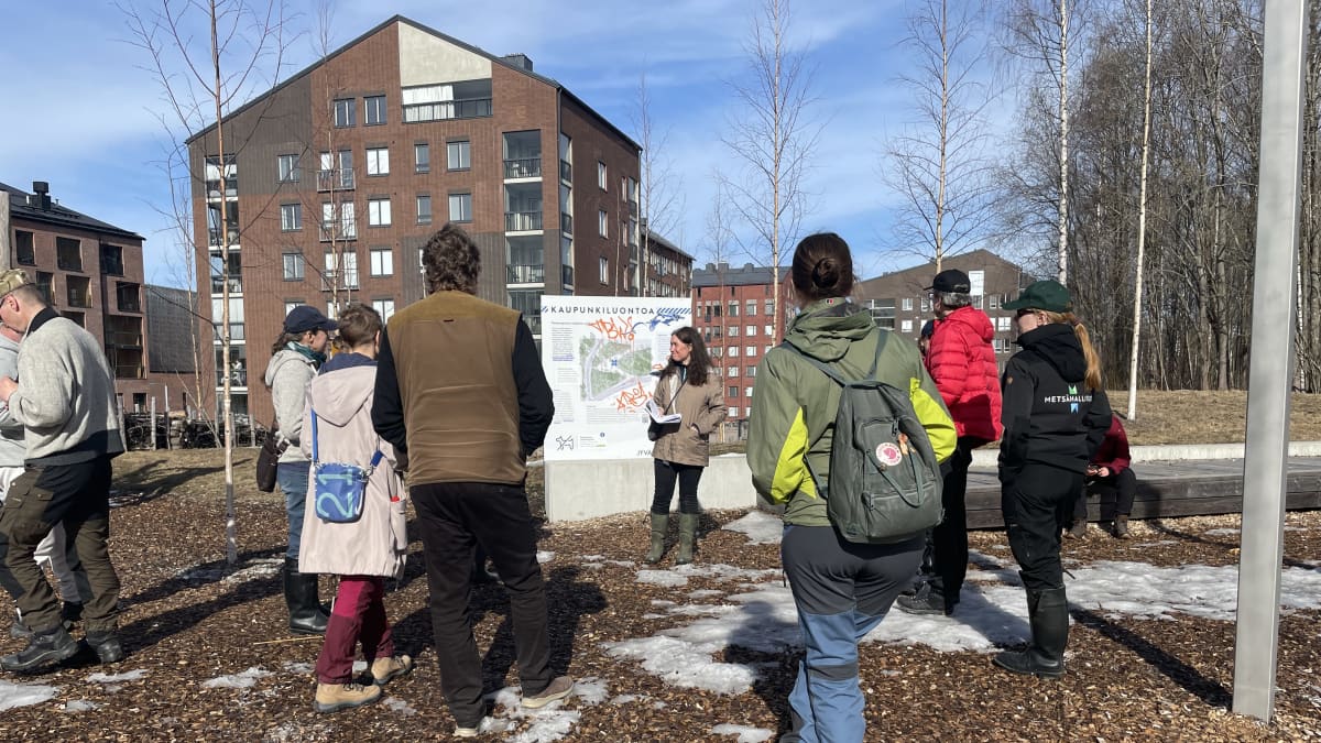 Yön arvoituksellinen liitelijä voi löytyä lähempää kuin aavistatkaan ...