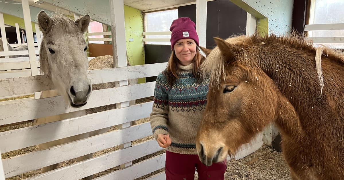 Syrjäiseen kylään Torniossa avataan uusi kotieläinpiha - yrittäjä ...