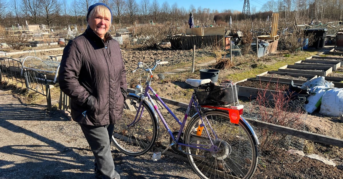 Viljelypalstojen suosio räjähti korona-aikana, ja jonot ovat ...
