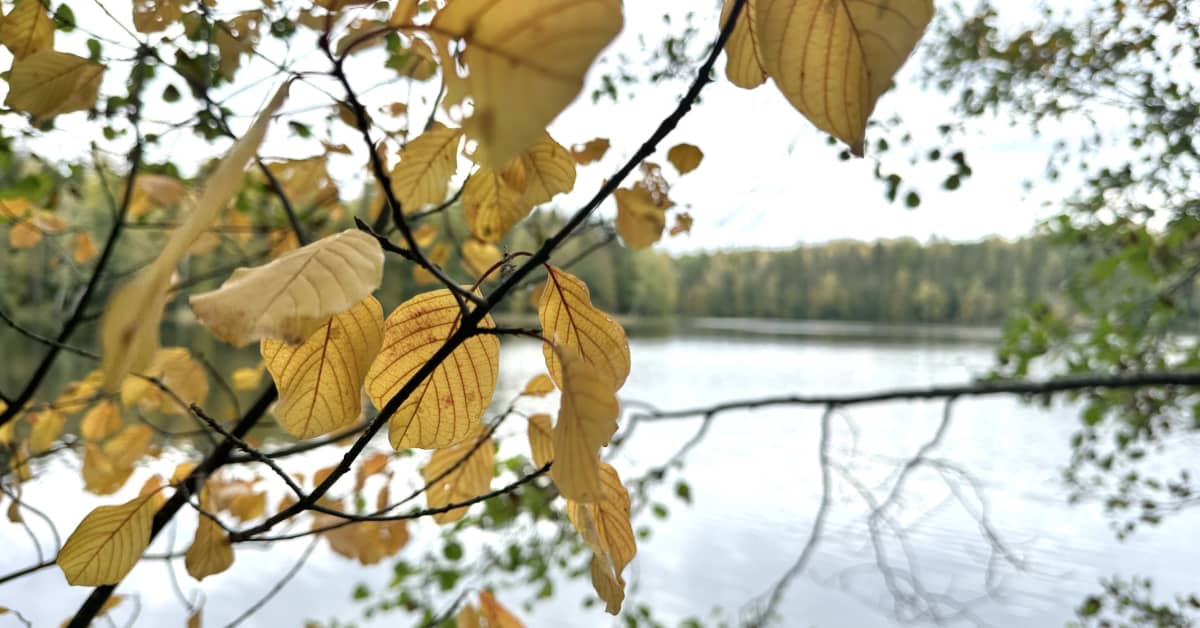 Lokakuu alkaa ja niin alkaa myös normisyksy – mukavan lämpimät päivät ...