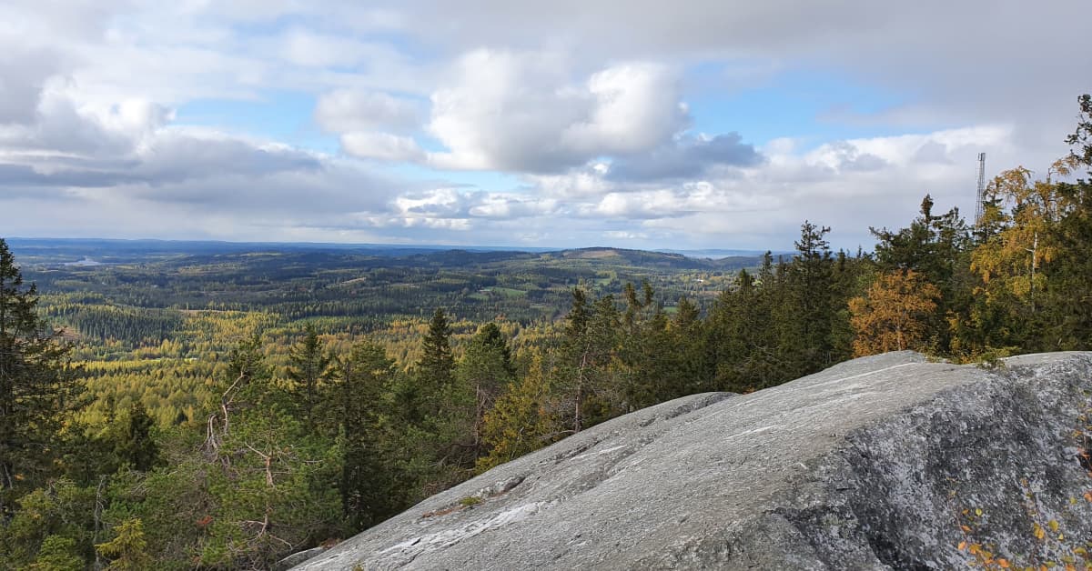 Sibelius soi Monola-juhlaviikolla Lieksassa | Pohjois-Karjala | Yle