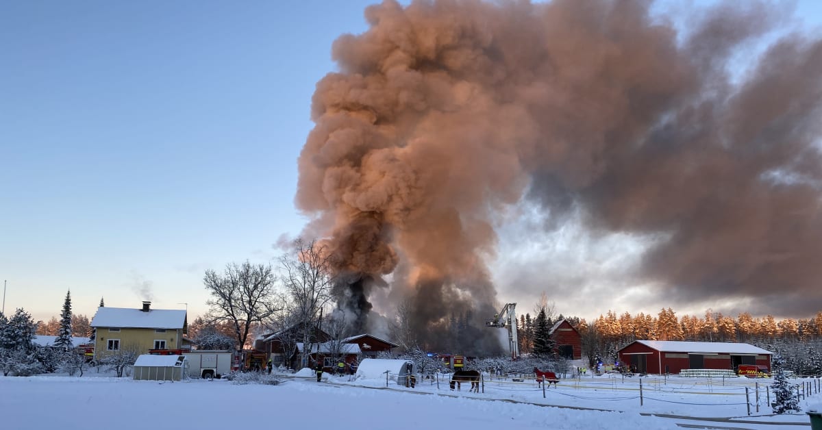 Maatilarakennus palaa Salossa – naapurin nopea toiminta pelasti ...