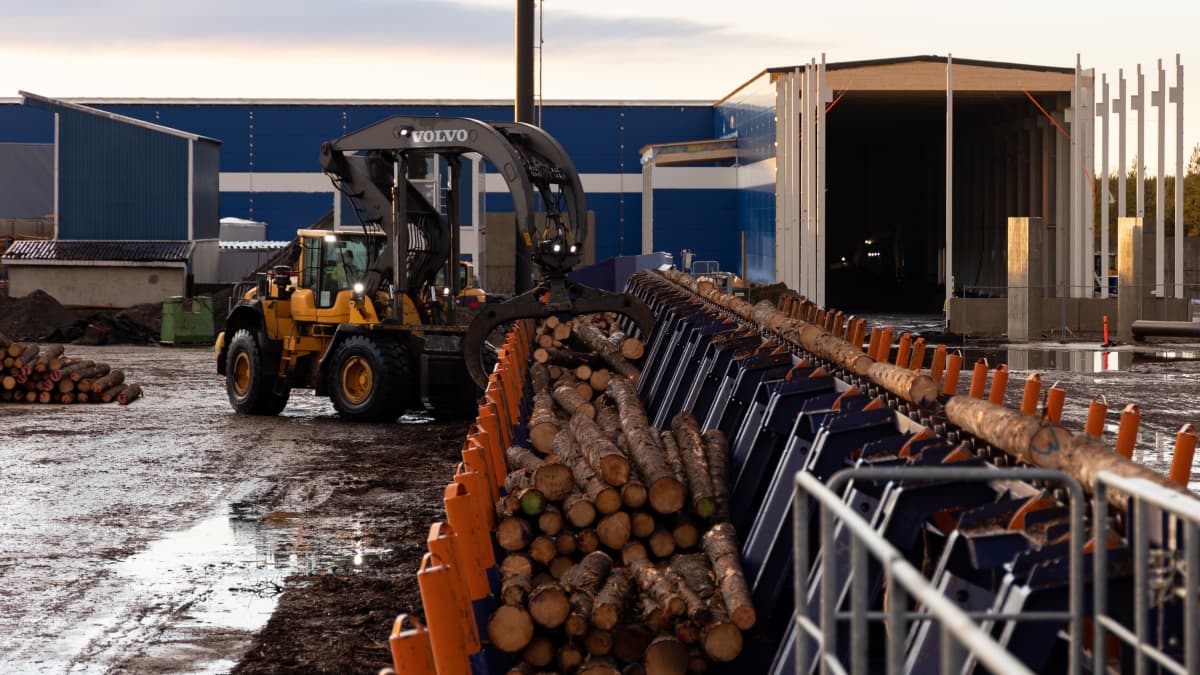 Sahateollisuuden alamäki ei pelota pohjoisen yrittäjiä – pienessä ...