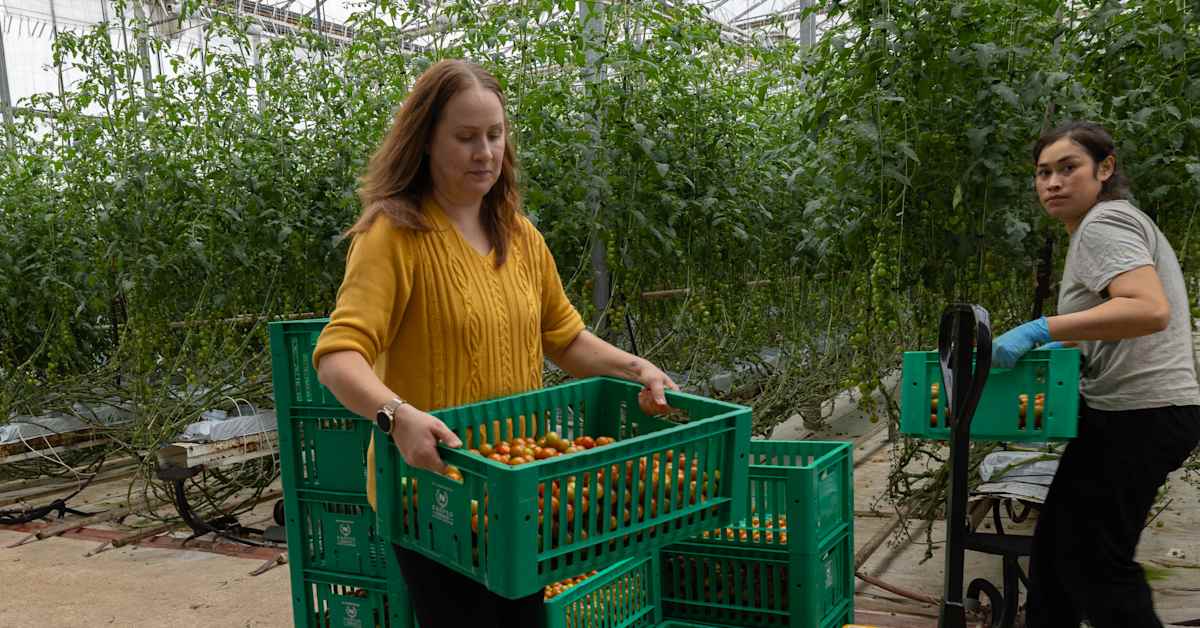Finland importerar allt mer gödsel från Israel – används bland annat ...