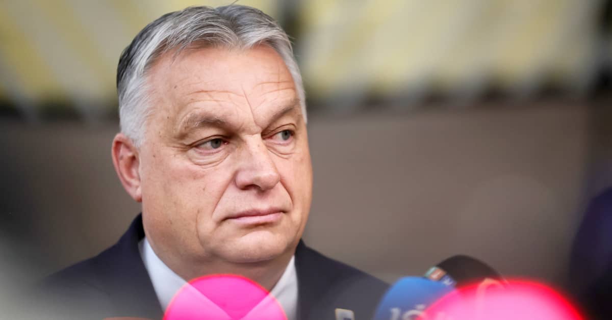 Orbán: Unkari tukee Ruotsin Nato-jäsenyyttä | Ulkomaat | Yle