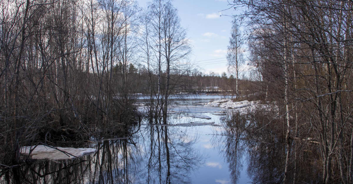 Pohjois-Pohjanmaan tulvat siirtyvät kohti pohjoista – Pattijoella ...