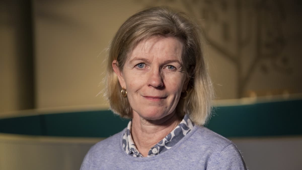 Suomi sai Afganistanissa sotaoppia ja liittolaisia, mutta on unohtanut ...