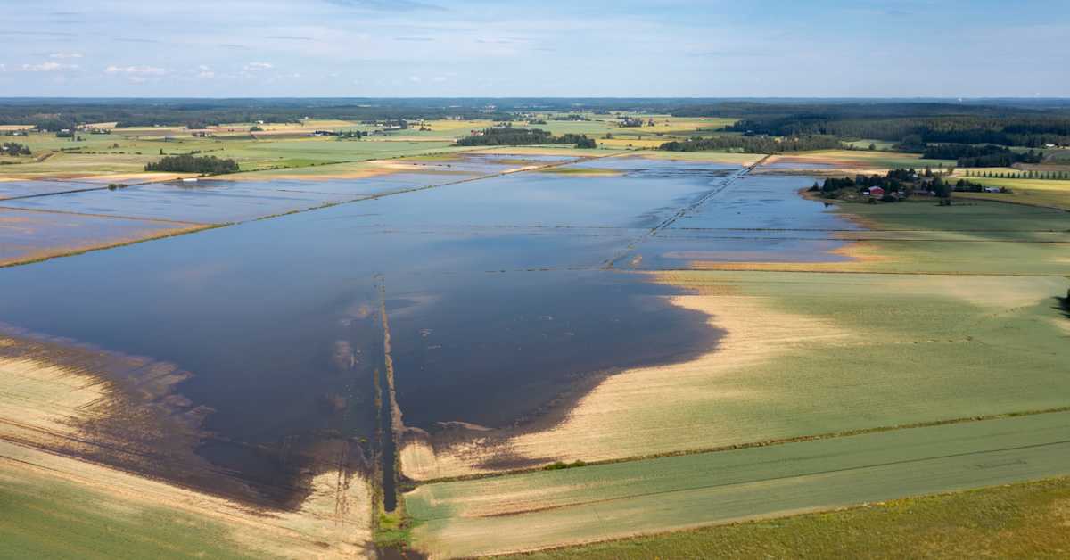 Kesällä löyhkänneen Elimäenjärven tulva on ohi Kouvolassa – nyt pohditaan, miten hajut saadaan ...
