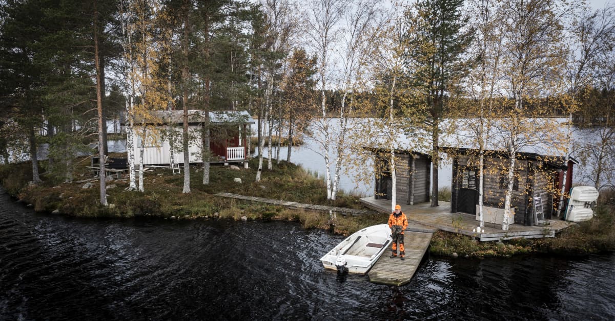 Mökkisaaresta löytyi kymmeniä kuolleita lokkeja, ja siitä alkoi Rauno ...