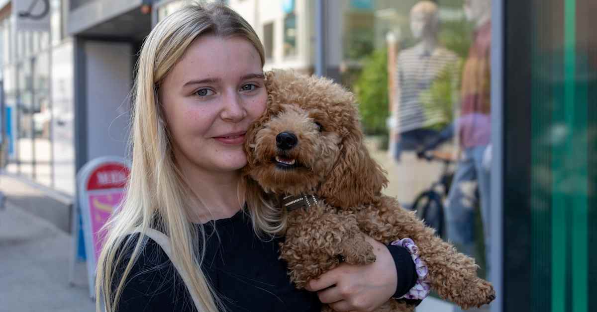 Lapissa tehtiin uusi ennätys hellepäivissä – Neea Outinen: ”Olen ...