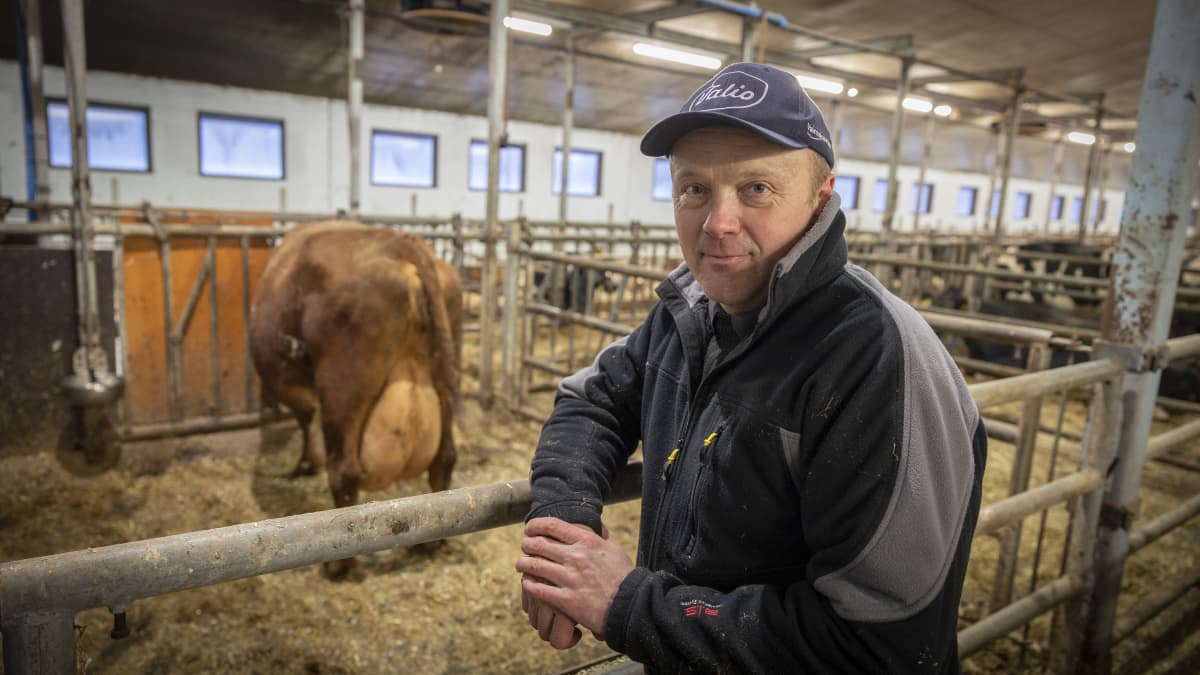 Mika Tervo maksaa lannoitteista ja sähköstä kymmeniä tuhansia euroja ...