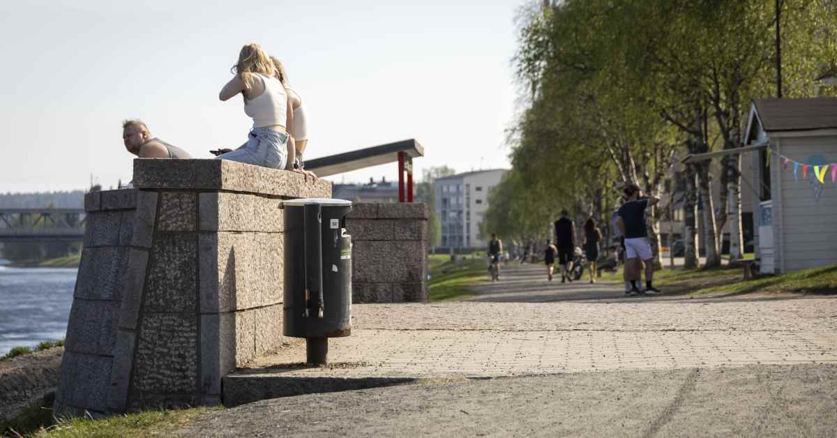 Ötökkäseinä, valometsä ja kesäkukkia – näin Lapin kaupungit kehittävät viihtyisyyttään tänä ...