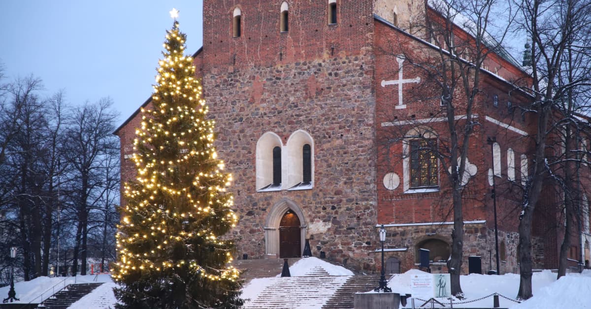 Suomen kaunein joulupuu komeilee Turun tuomiokirkon edustalla ...