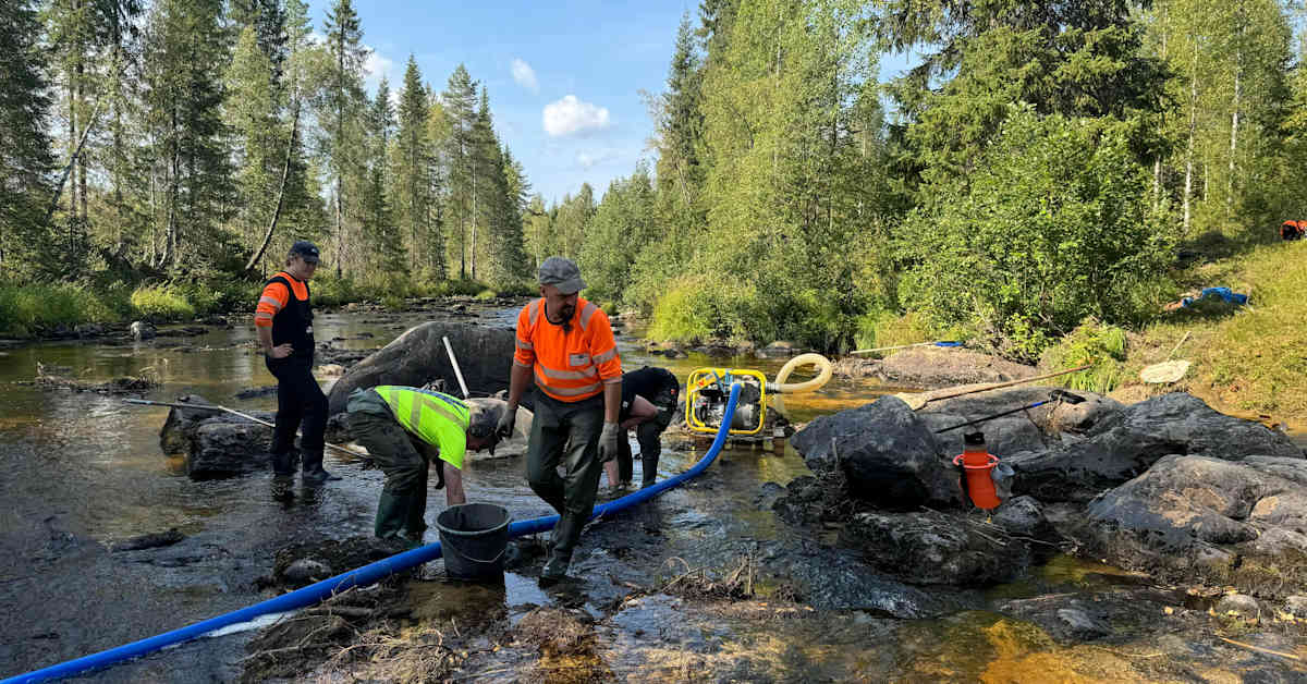 Raakkutuhojen hinta voi nousta miljooniin – Stora Enso ei halua ottaa ...