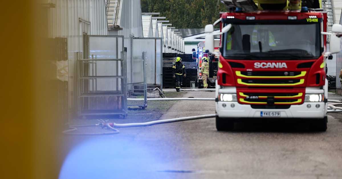 Kasvihuoneen tulipalossa tuhoutui valtava määrä joulutähtiä | Varsinais ...