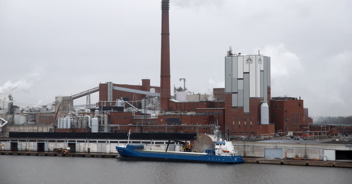 Sunilan tehdas varoittaa hajuhaitoista Kotkassa | Kymenlaakso | Yle