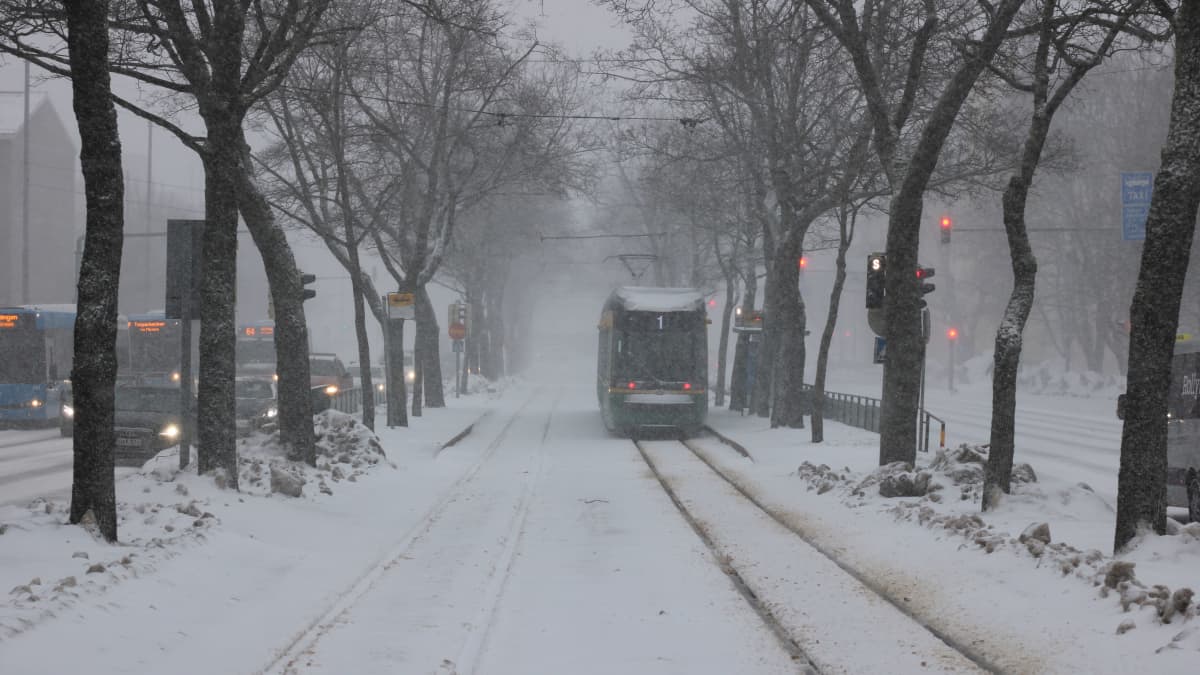 Winter's first blizzard bears down on southern Finland | News | Yle Uutiset