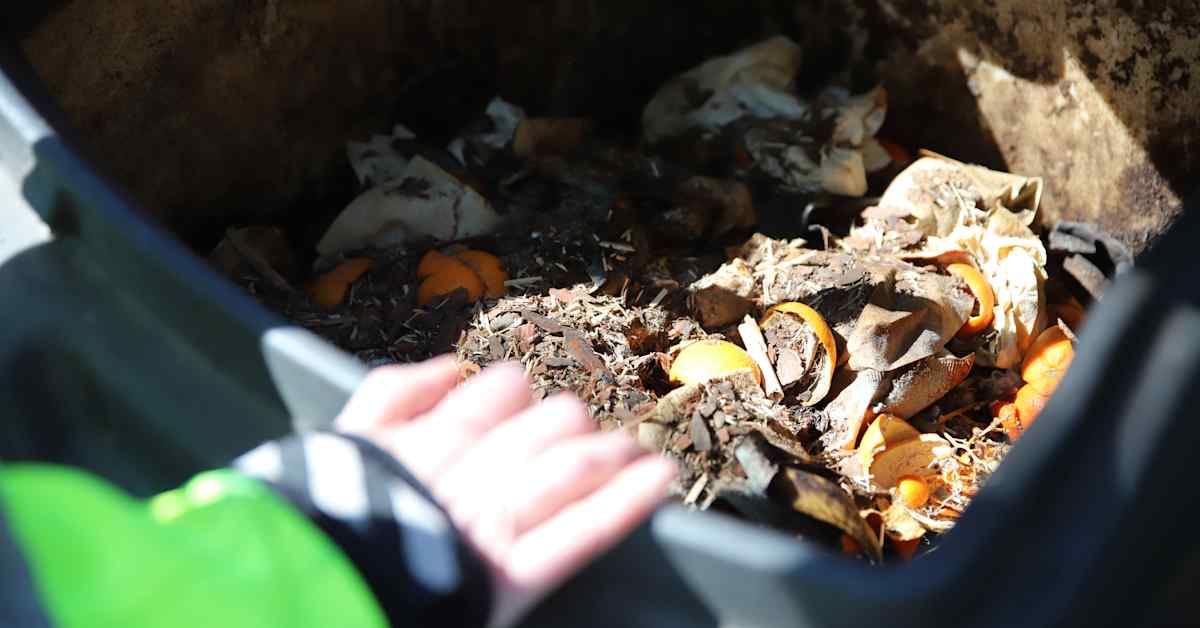 Porin seudun kompostorit pääosin hyvässä kunnossa | Satakunta | Yle
