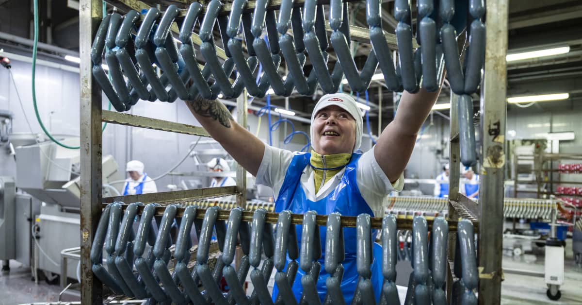 Raportti: Markkinat ovat sokeita ympäristön heikkenemiselle – siksi ...