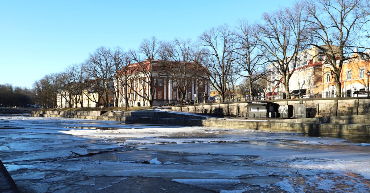 Varma kevään merkki Turussa: Halisten ukot lähtivät liikkeelle ...