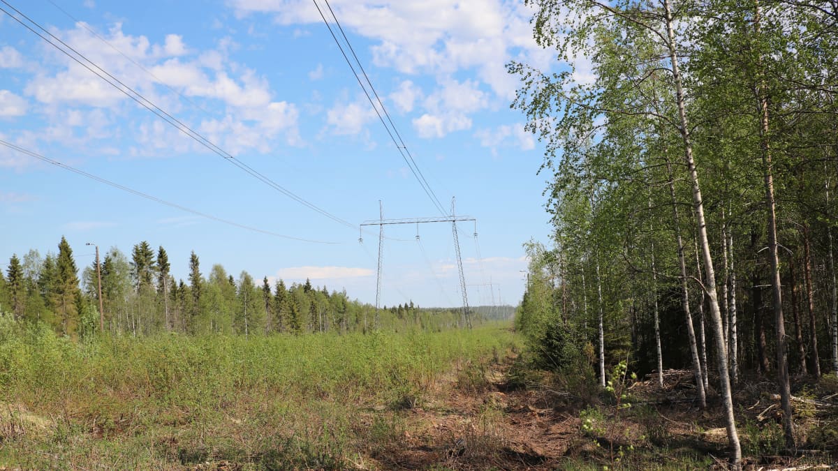 Uusi voimalinja Kalajoen ja Alajärven välillä vaatinee vielä täydentäviä Natura-arviointeja ...