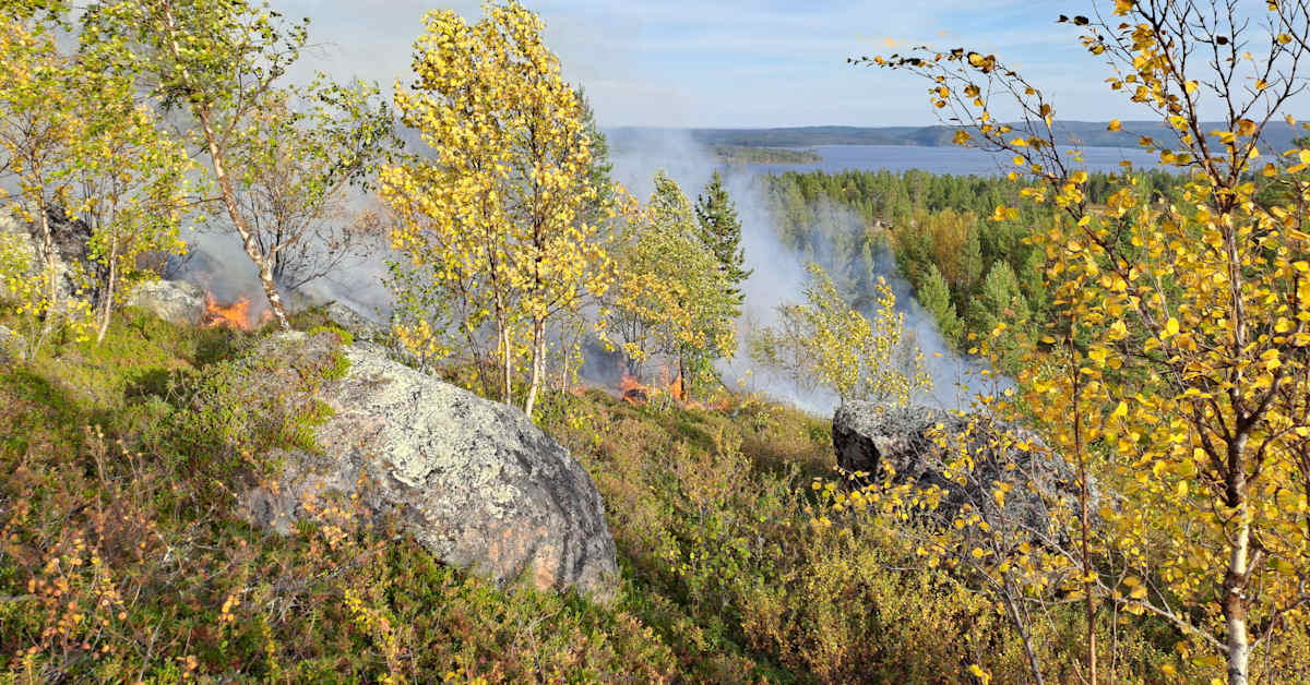 Sevettijärven metsäpalo saatu taltutettua | Lappi | Yle