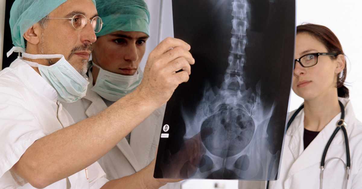 Ihmiskehon luusto | Oppiminen | Yle