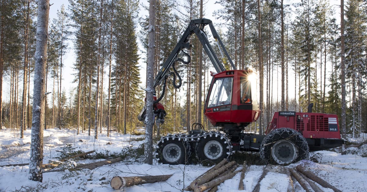 Luke: Finland's 2035 carbon neutrality may remain just a goal | Yle ...