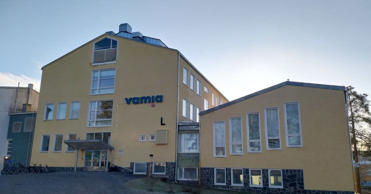 Vamian opiskelijat menestyivät Taitaja-kilpailussa | Pohjanmaa | Yle