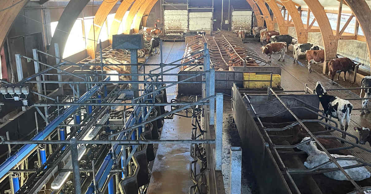 Vesilahden kunnan­hallituksen puheenjohtajan maitotila sai ...