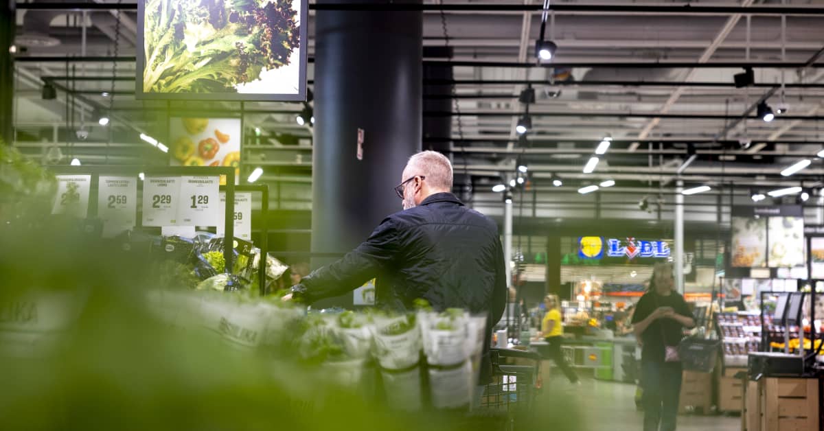 Bank of Finland: Inflation rate rises to slow down this year | Yle News ...