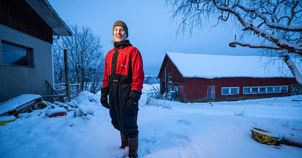 Maatilojen säilyminen on huoltovarmuus­kysymys, mutta intoa tilan ...