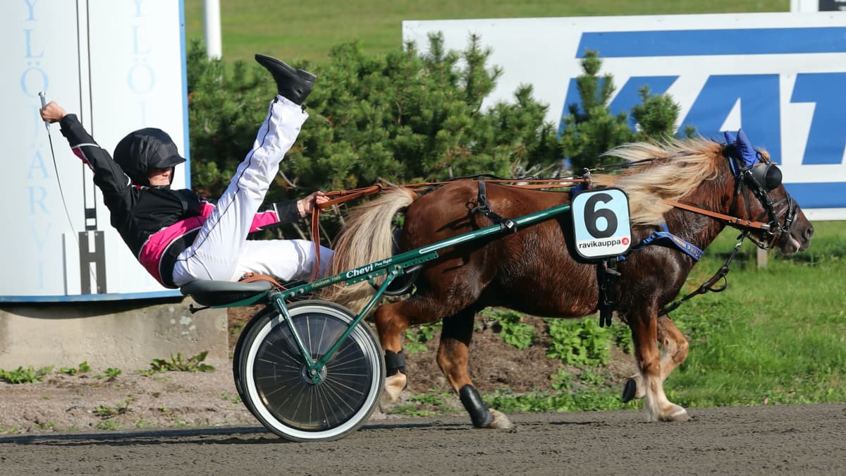 Teivossa avautuu ravikoulu, josta voi ponnistaa jopa oikeaksi ...