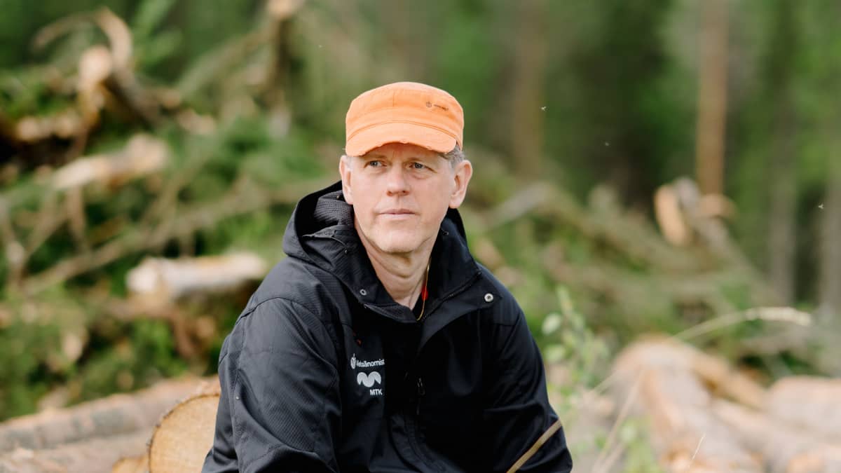 Kun kalliit tukkipuut päätyivät sellupinoon, Toivo Hyvärinen vei UPM:n ...